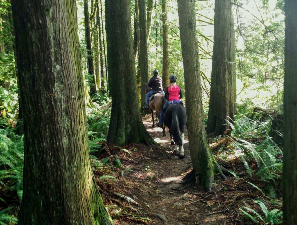 City of Maple Ridge seeks your input on Thornhill – The Haney Horsemen